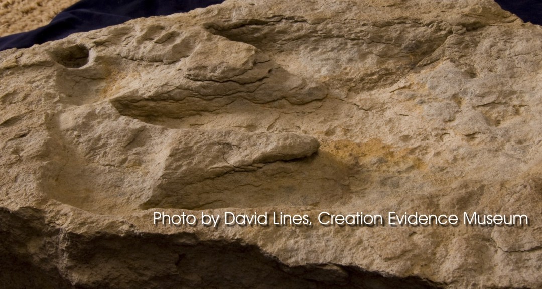 Examining the Delk Track - IanJuby