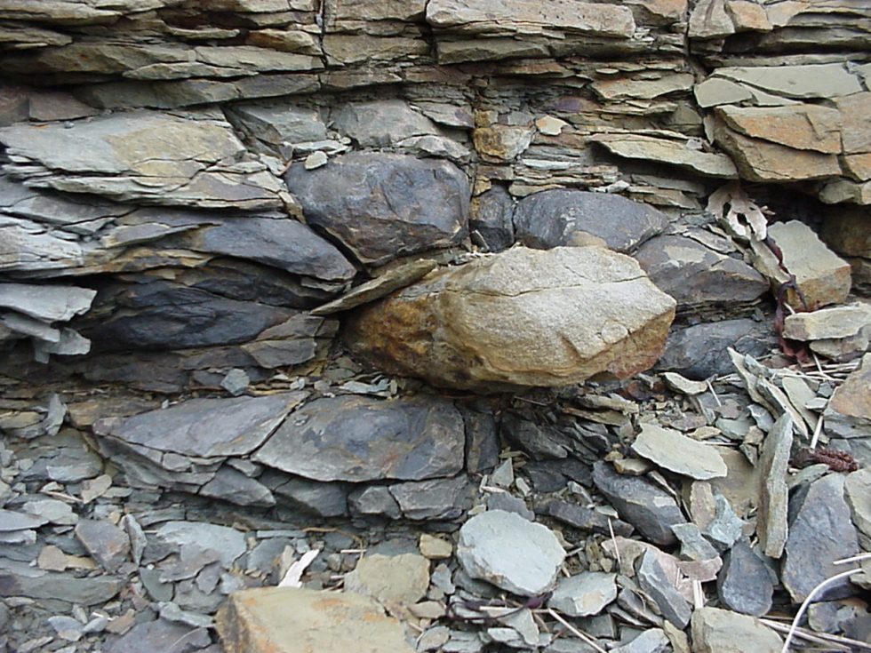 About Polystrate Fossils - IanJuby