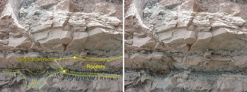 About Polystrate Fossils - IanJuby