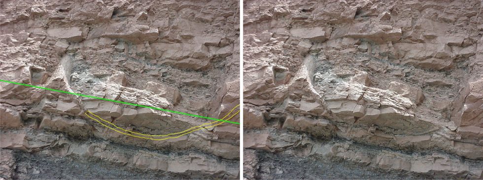 About Polystrate Fossils - IanJuby